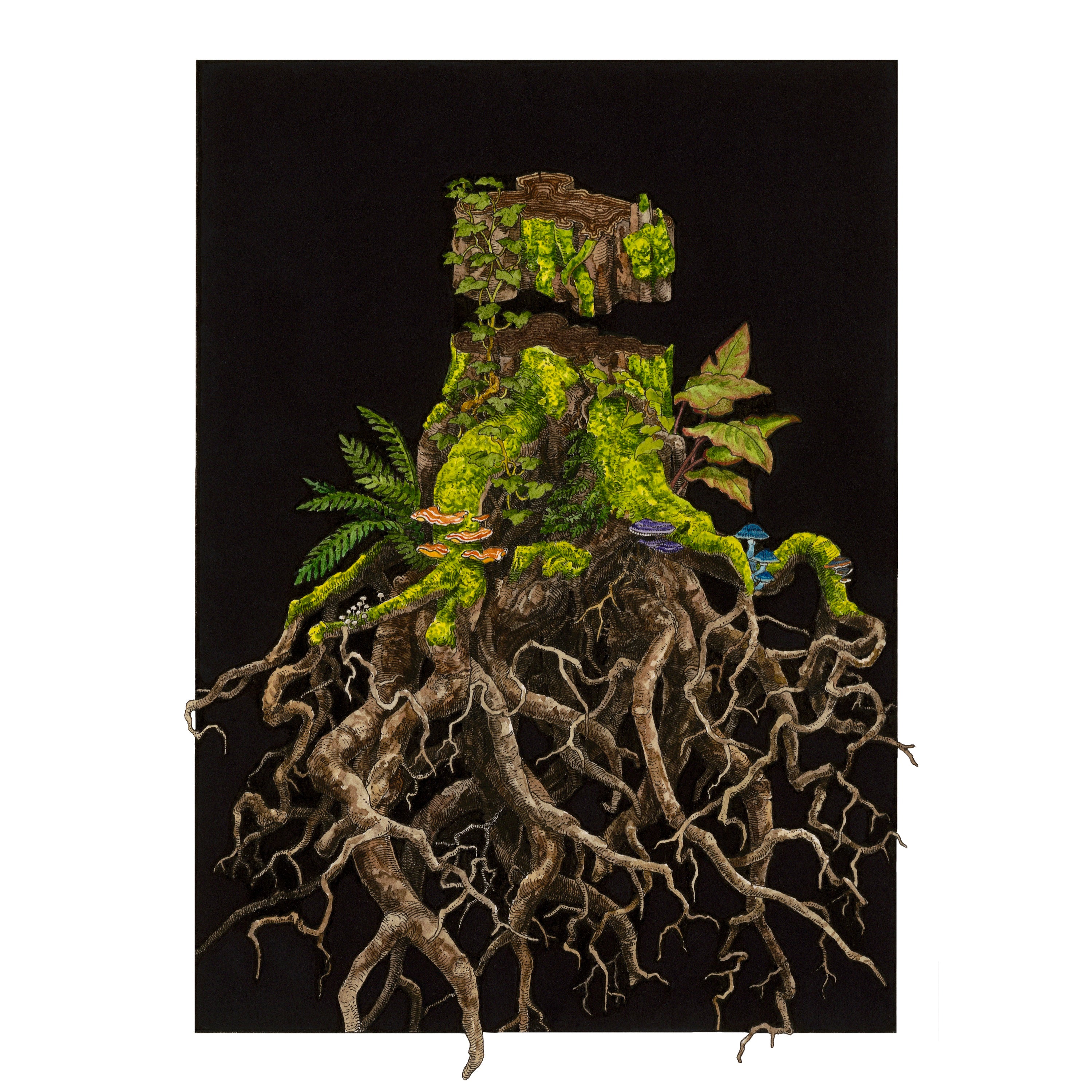 Brunswick Street Gallery - Dan Power | Sub Terra