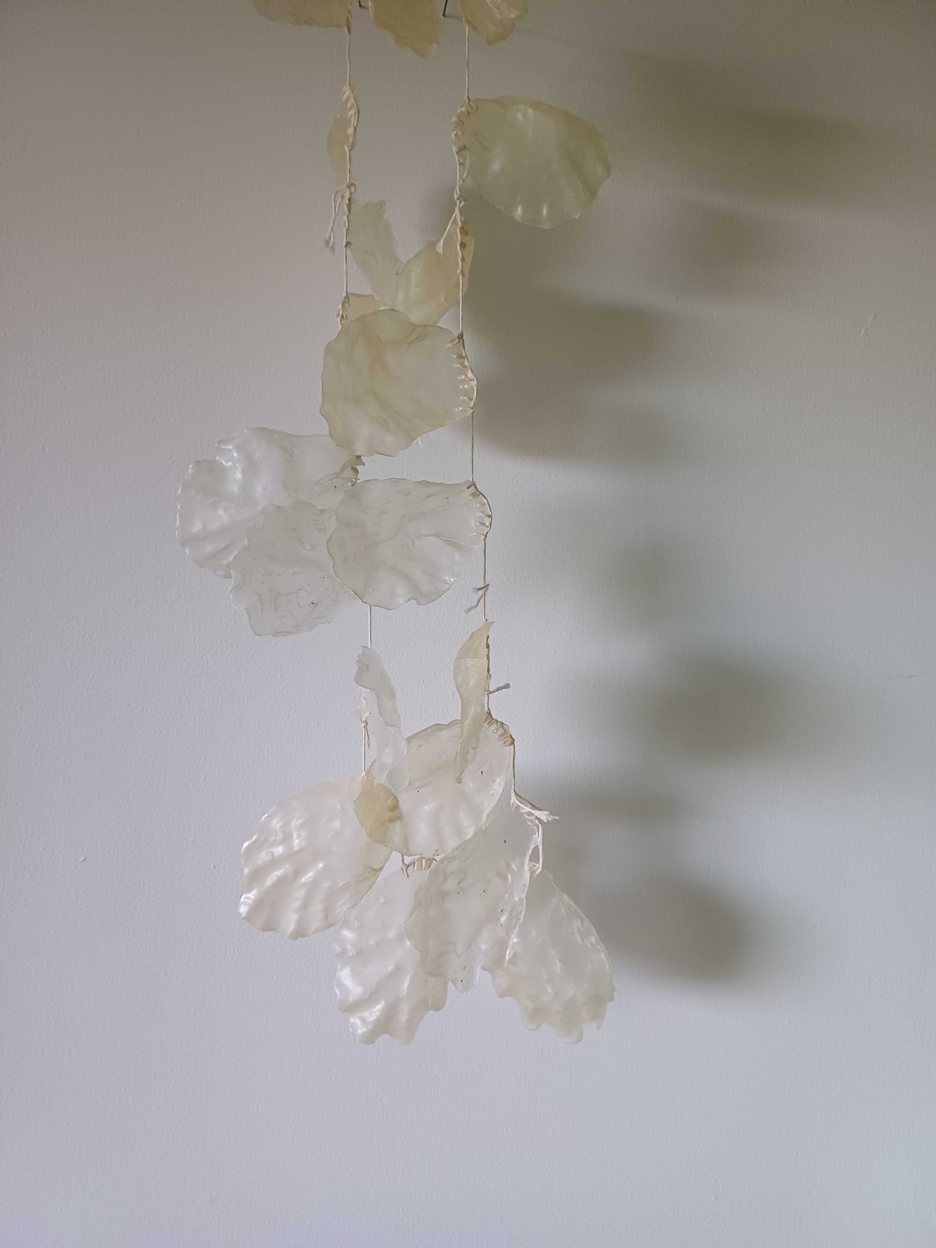 Brunswick Street Gallery - Tracing, Softly | Gabbee Stolp