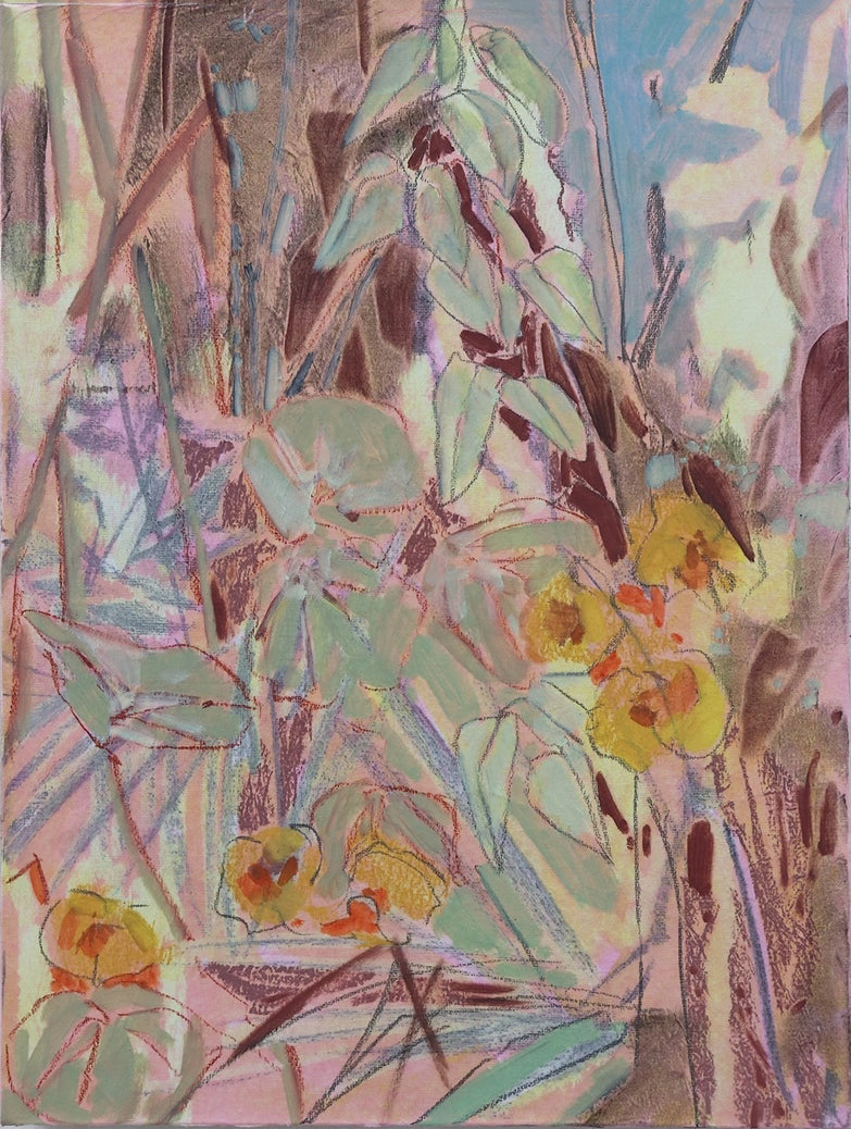 Brunswick Street Gallery - New Works: Amy Wright