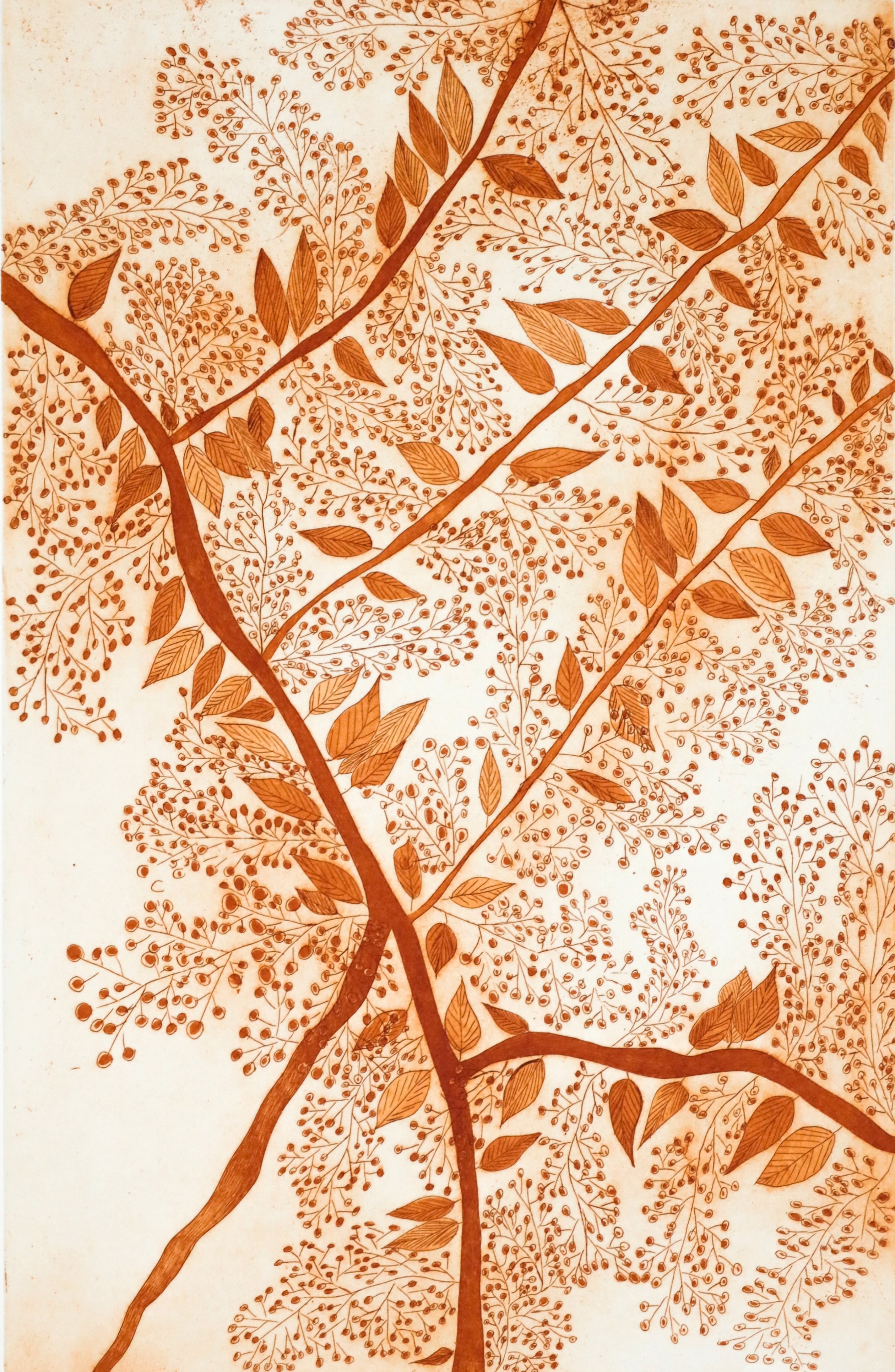 Brunswick Street Gallery - Bitharr #2 Maymuru | Gumbu’ 4794-24