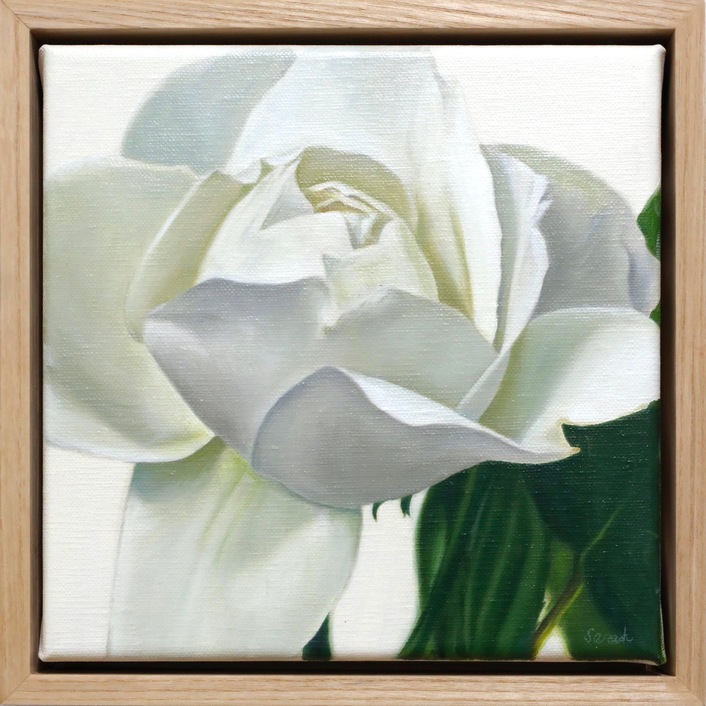 Brunswick Street Gallery - Sarah Blatchford | Littlest Things