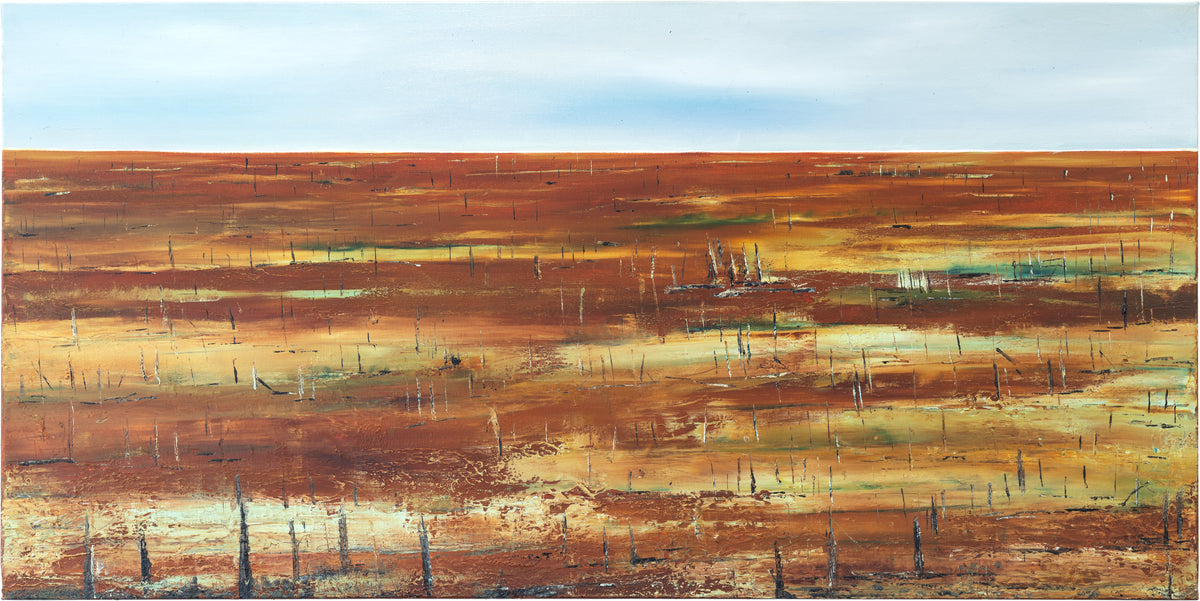 Brunswick Street Gallery - Exhibitions