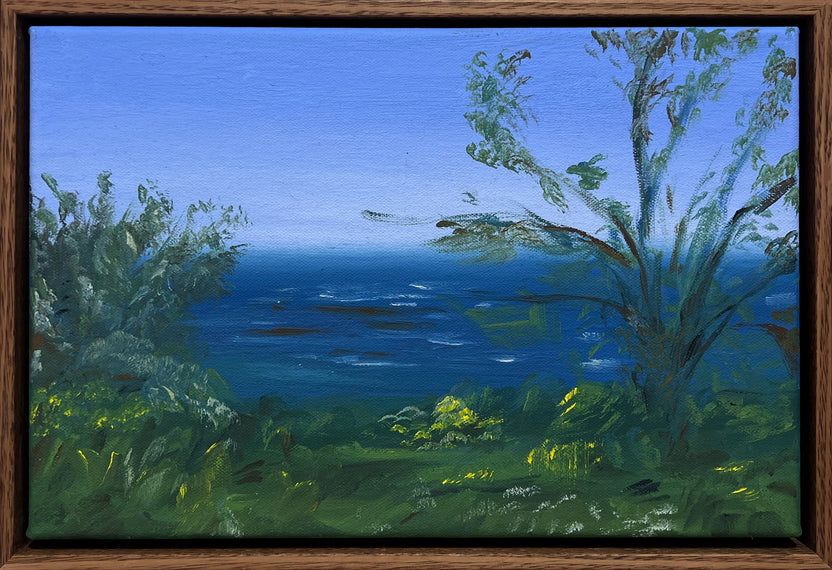 Brunswick Street Gallery - Liam Haley | Over Mushroom Reef