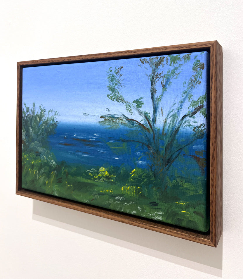 Brunswick Street Gallery - Liam Haley | Over Mushroom Reef
