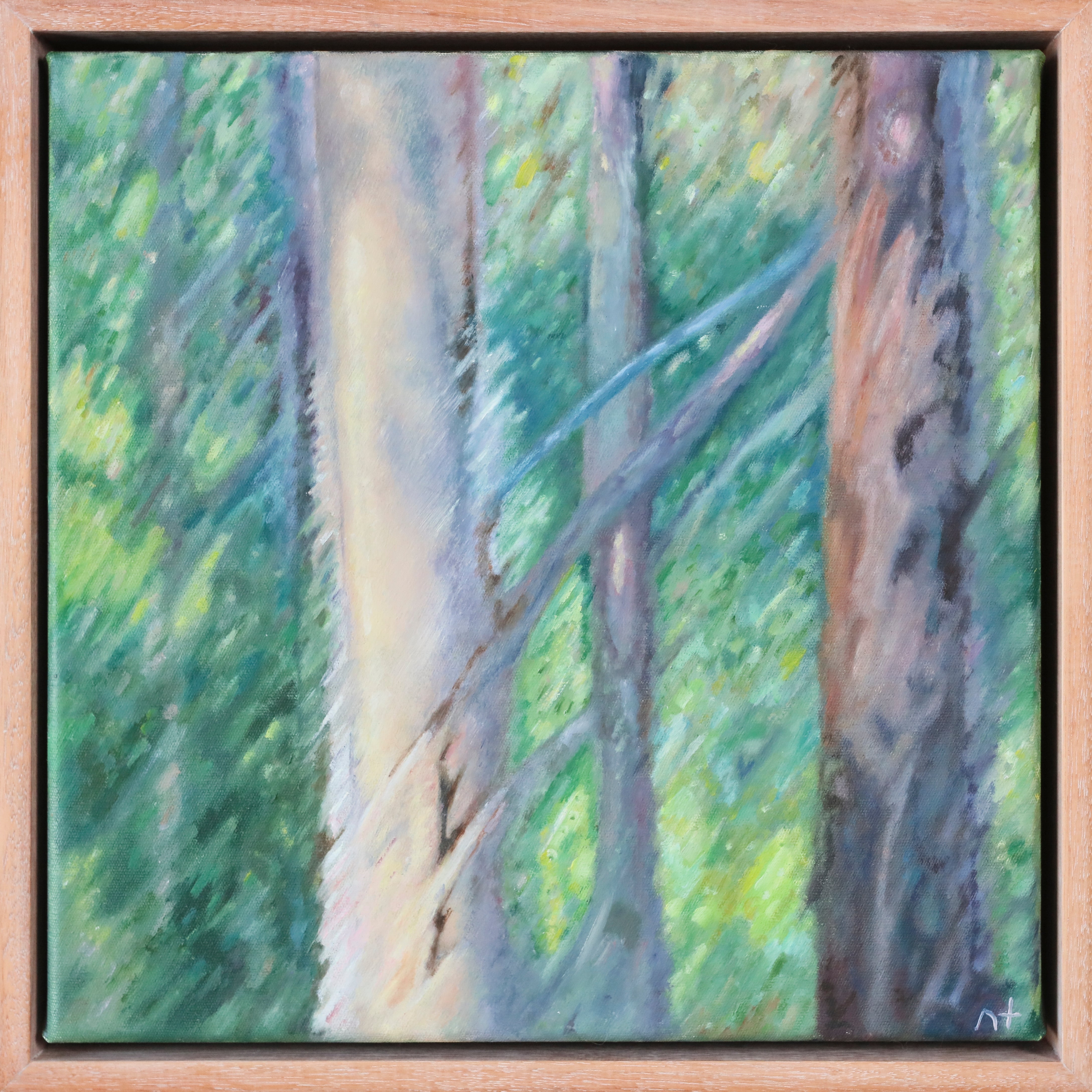 Brunswick Street Gallery - Natalie Turner | Bush Bathing