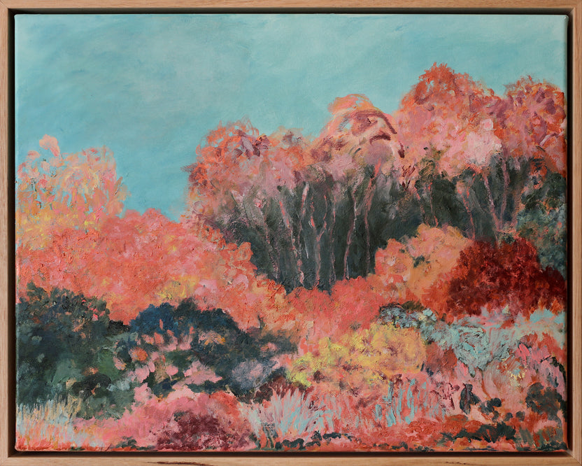 Brunswick Street Gallery - Edwina Edwards