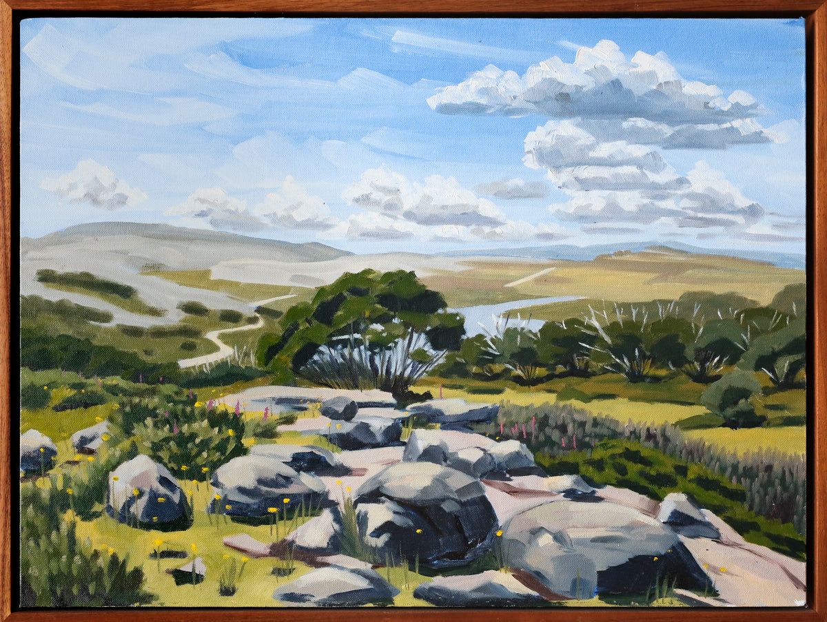 Brunswick Street Gallery - Sarah Low | The Winding Road, Bogong High Plains