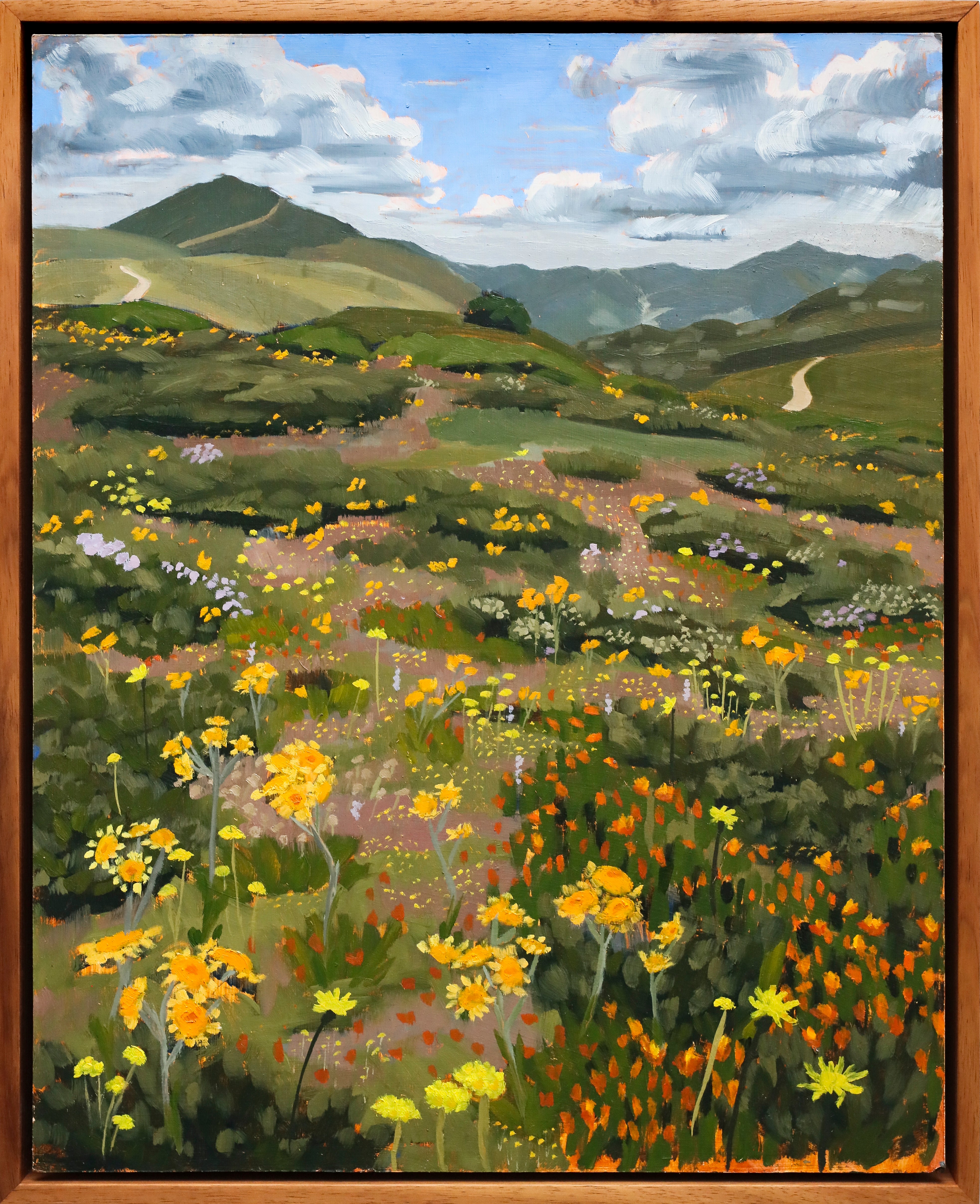 Brunswick Street Gallery - Sarah Low | Tread Softly, Mt Mackay